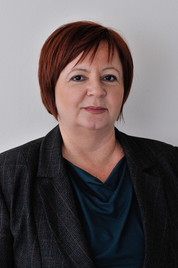 Džafer Alić - Skupština HNŽ-K